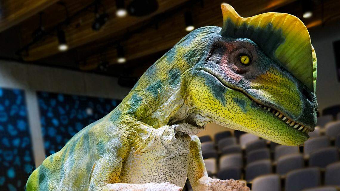 Exploration Place launches Expedition: Dinosaur | Wichita Eagle
