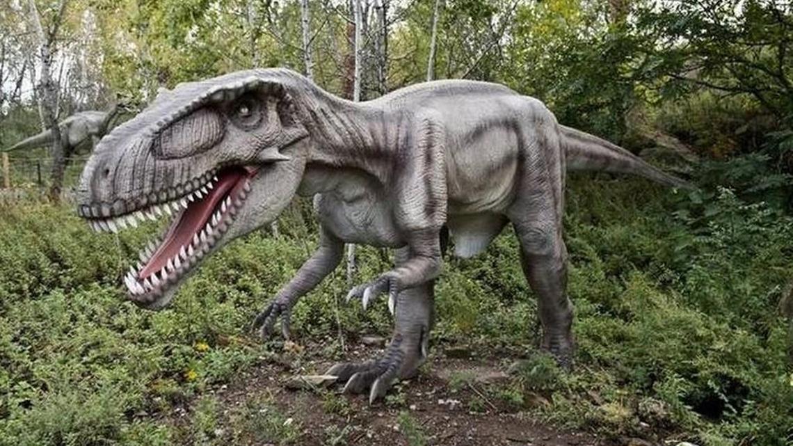 Derby dinosaur project now in state’s hands | Wichita Eagle
