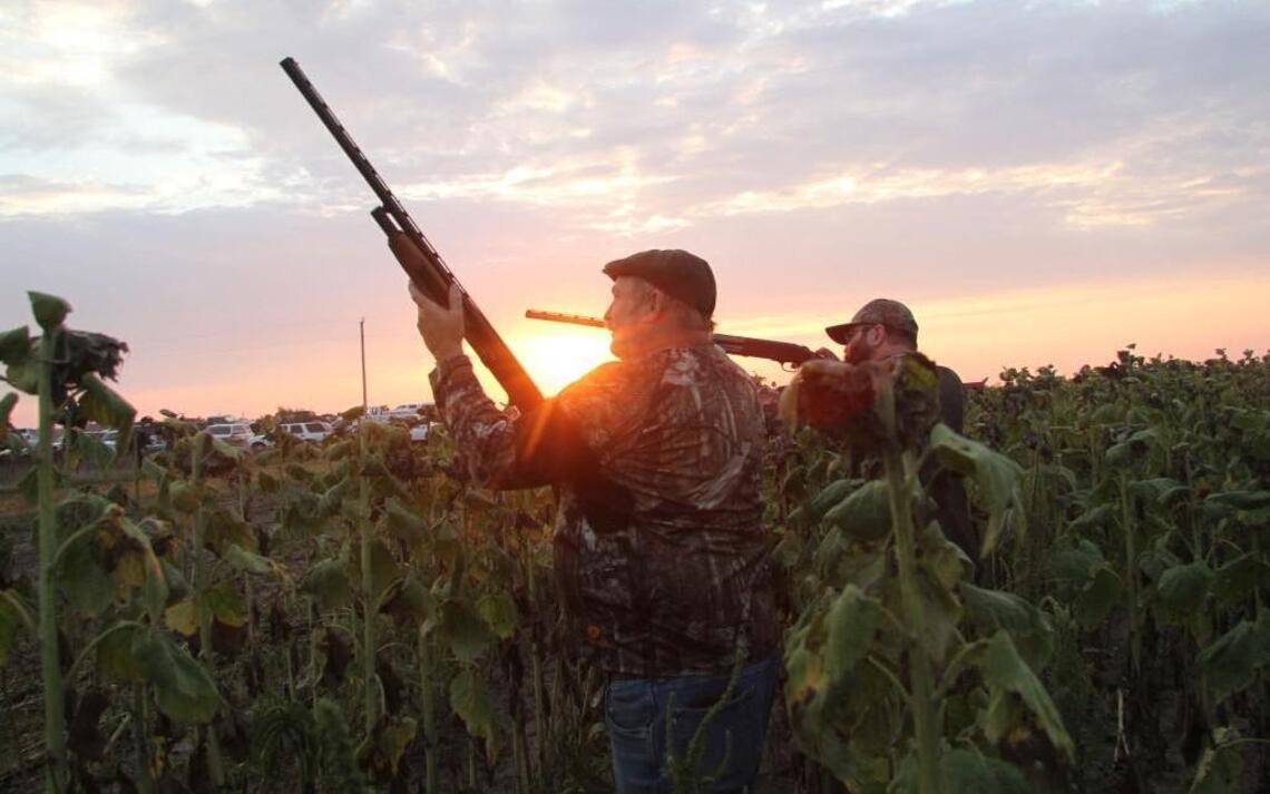 Kansas dove hunting starts fast | Wichita Eagle